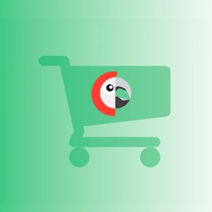 Polylang Pro - DavidIbiza.com